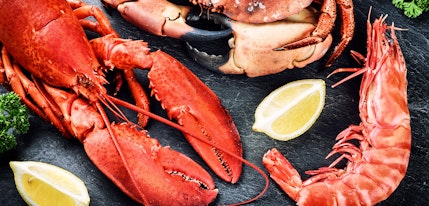 14 Allergens: What to look for on the label