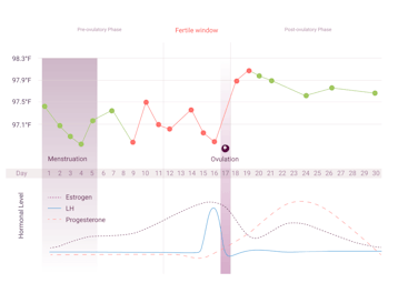 Information for Healthcare Professionals | Natural Cycles