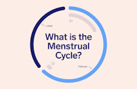 Hymen: Anatomy, Function, and Virginity Explained