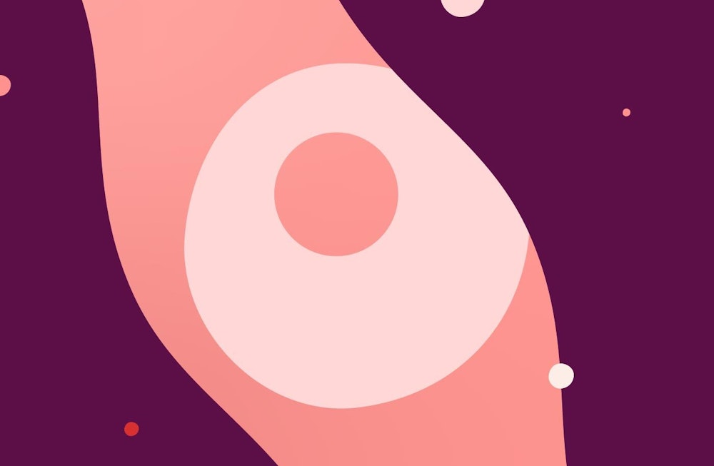 What is Ovulation? | Natural Cycles