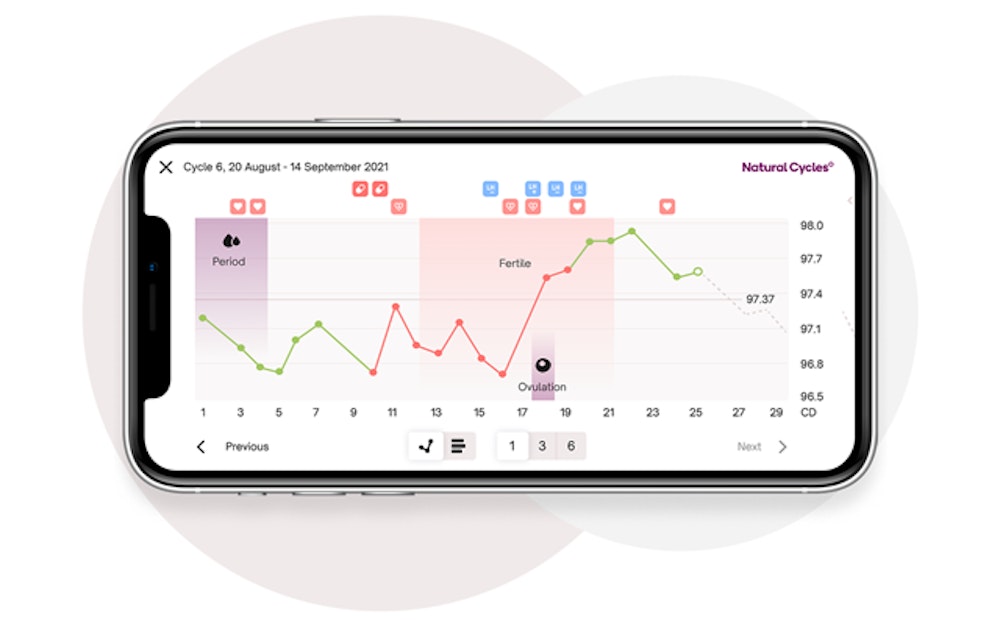 Compare Digital Birth Control Methods Natural Cycles News