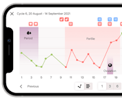 How does Natural Cycles Work? | Temperature Birth Control
