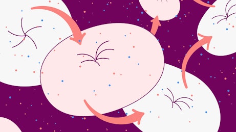 Cervix Positions: What They Mean & How To Check Them