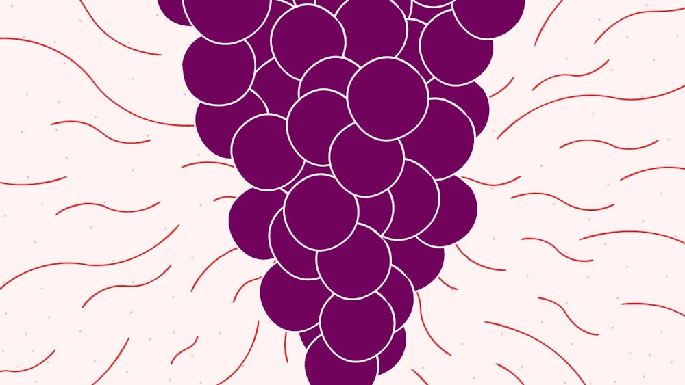 AMH Levels Explained | What is AMH? | Natural Cycles