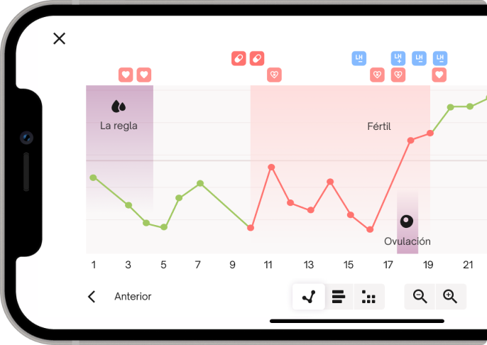 ¿Cómo funciona Natural Cycles? | Natural Cycles