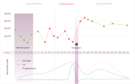 Natural Cycles For Healthcare Providers