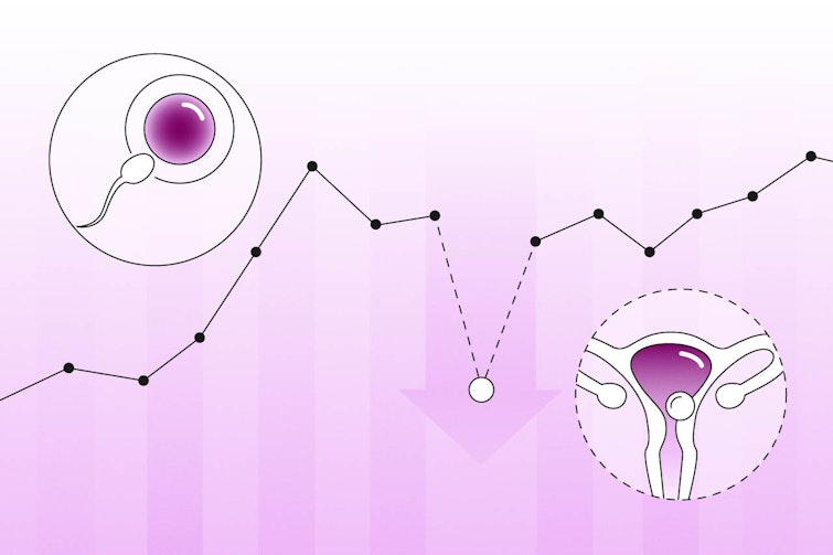 What is Conception? Fertilization & Implantation Explained