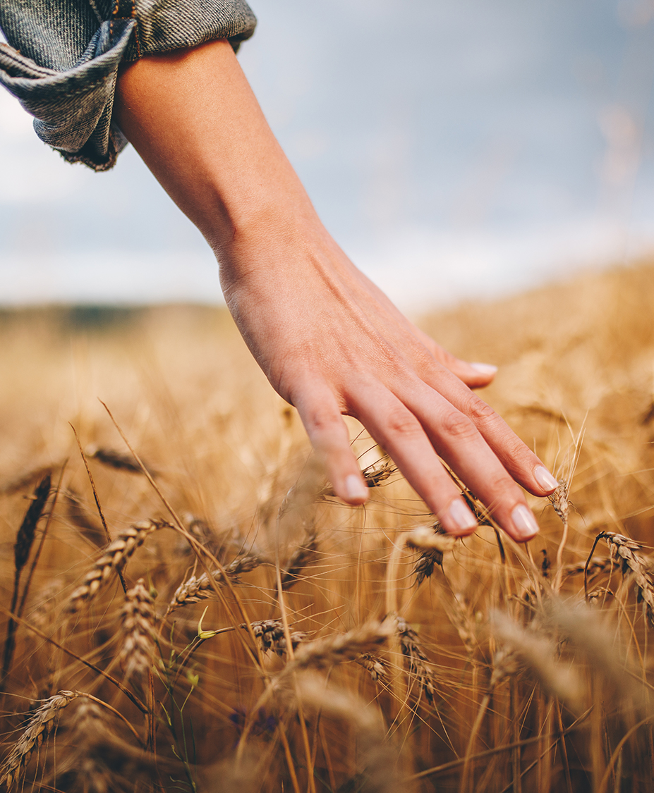 Trigger Finger Release Las Vegas | Endoscopic Release Surgery