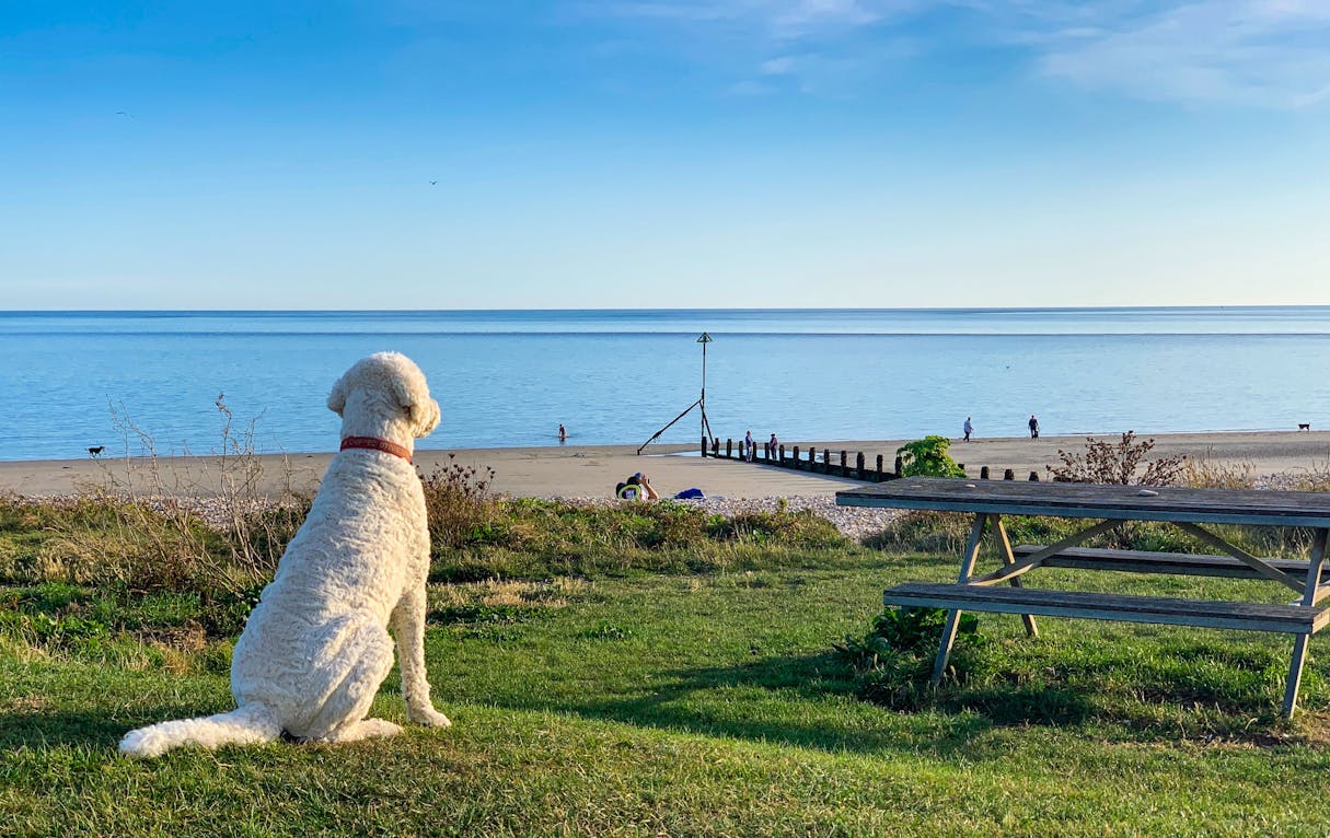 Oval Field Beach | Destination Selsey