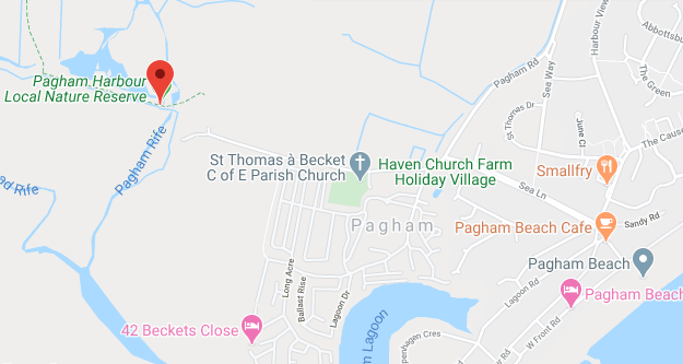 Pagham Harbour | Destination Selsey