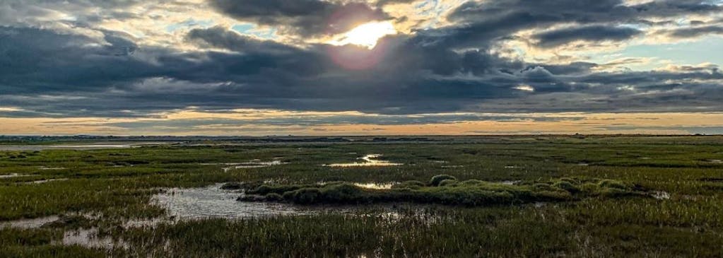 RSPB Pagham Harbour Nature Reserve | Destination Selsey