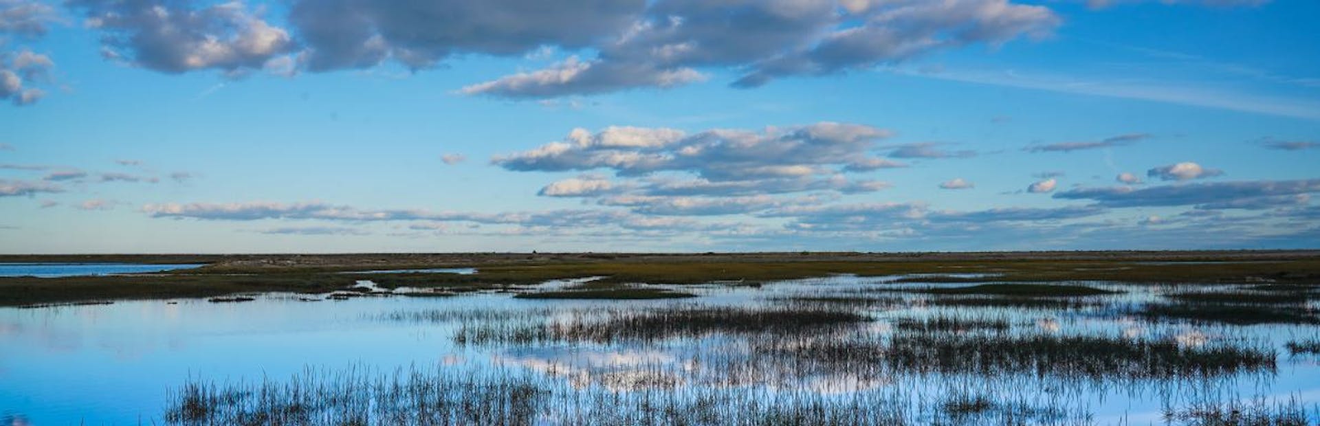 Destination Selsey | Destination Selsey