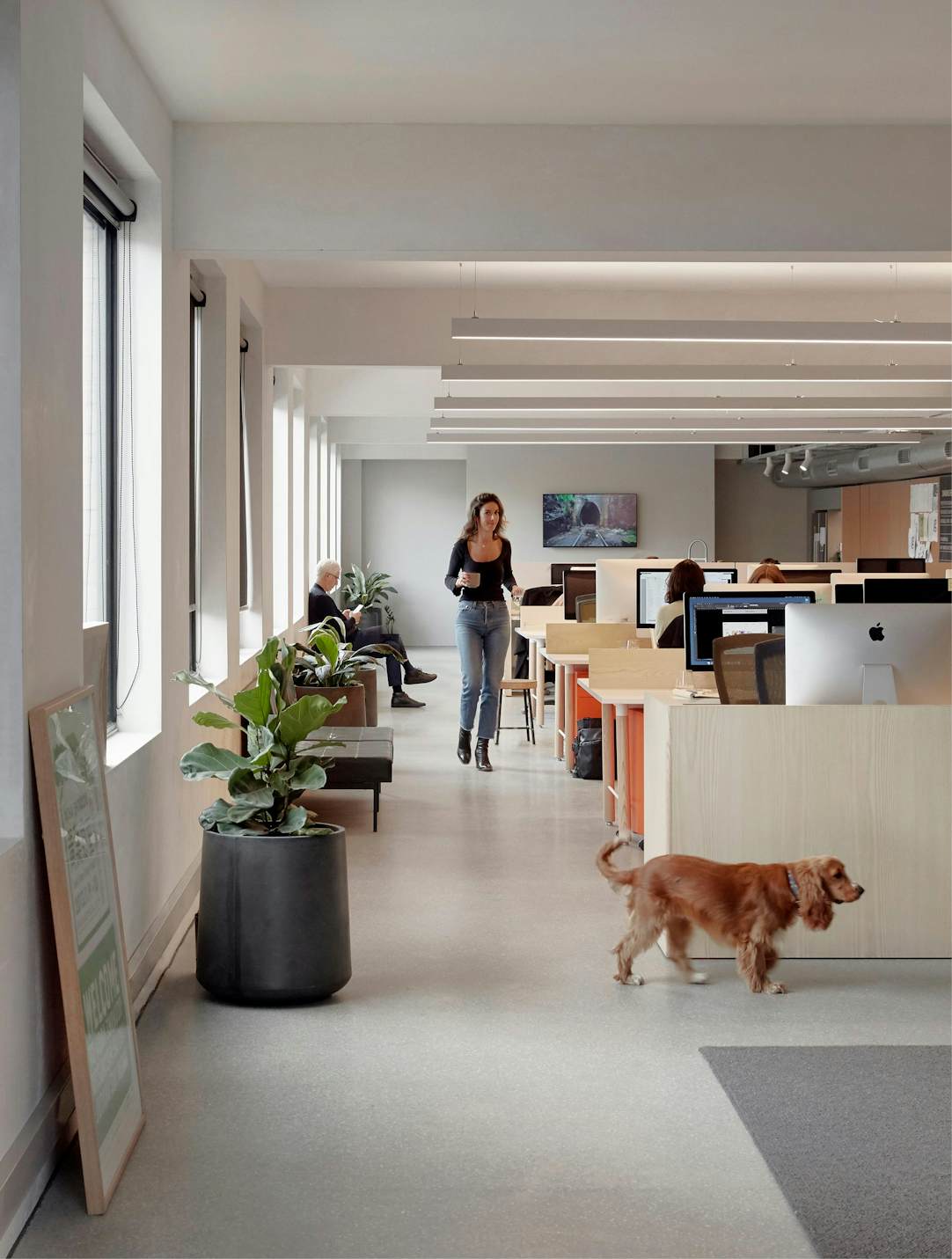 Contact — Studio Round