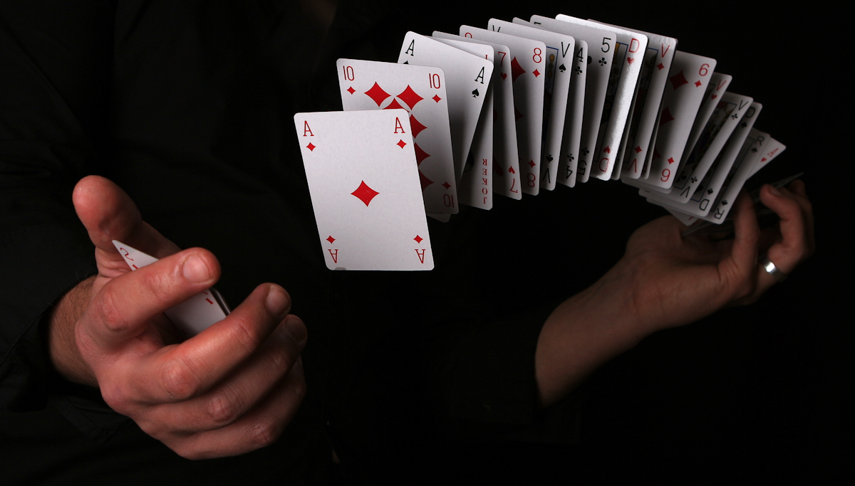 LUGY: A successful launch on Amazon - Bizon