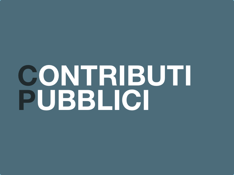 Contributi pubblici ricevuti - Fondazione Lisio