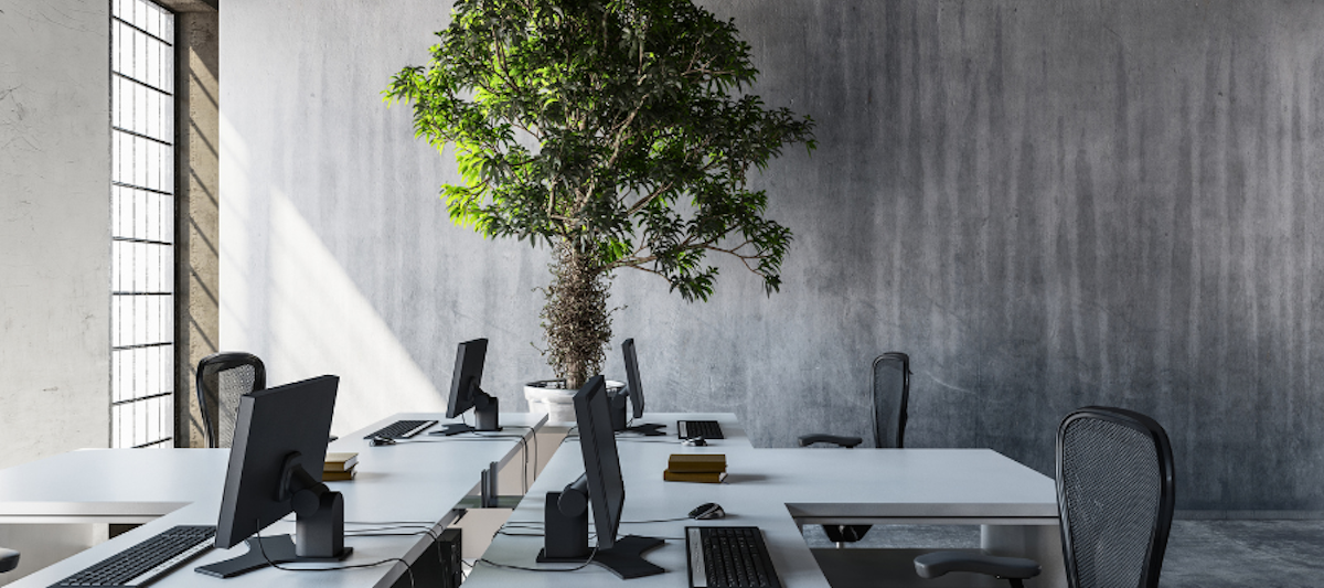 Workplace absence | three-day working week