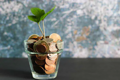 Tips and Gratuities | BrightHR