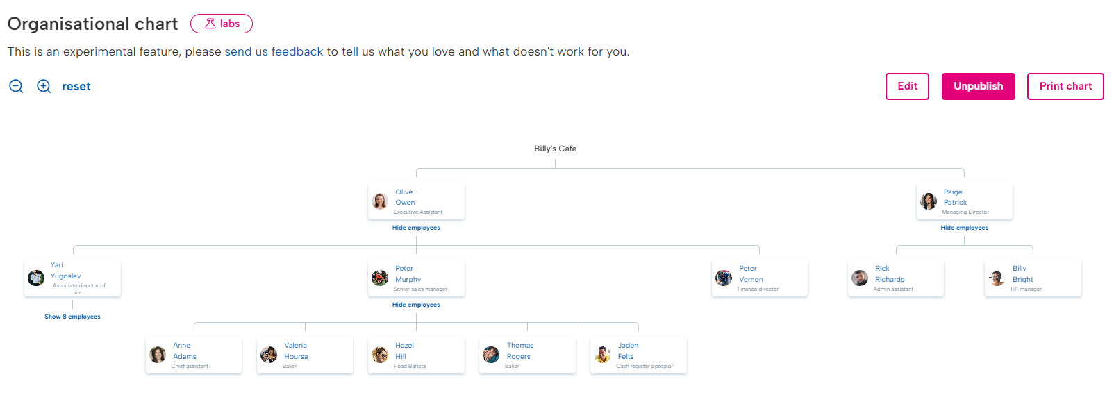 All about Setting up your Employees and Teams