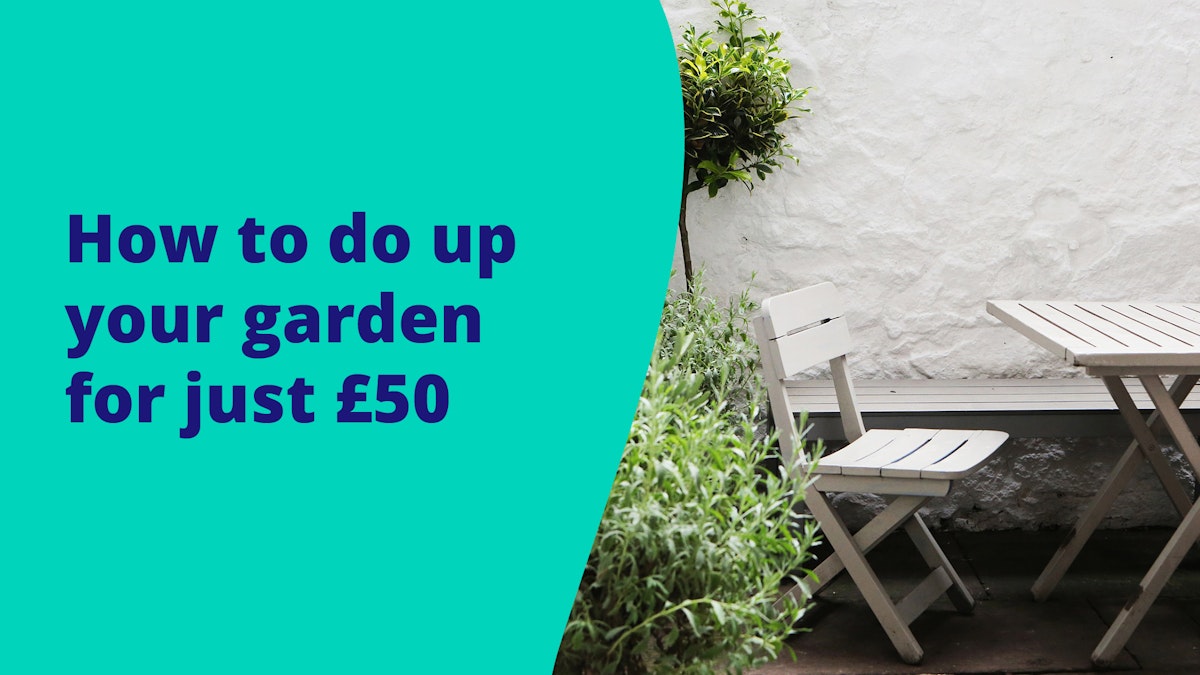 Six ways to do up your garden for under £50 - Zopa