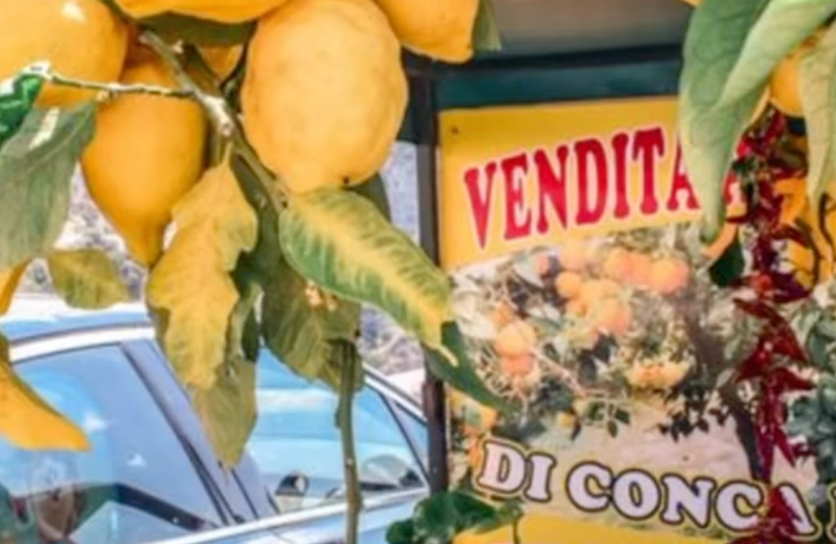 Mosquets - Italian Lifestyle (Capsule Collection) kaufen – HEAT MVMNT