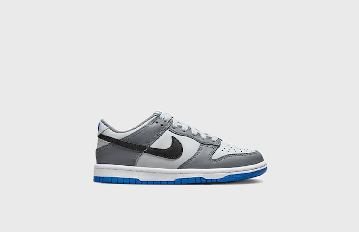Nike Dunk Low "Coole Grey" kaufen – FB9109-001 – HEAT MVMNT