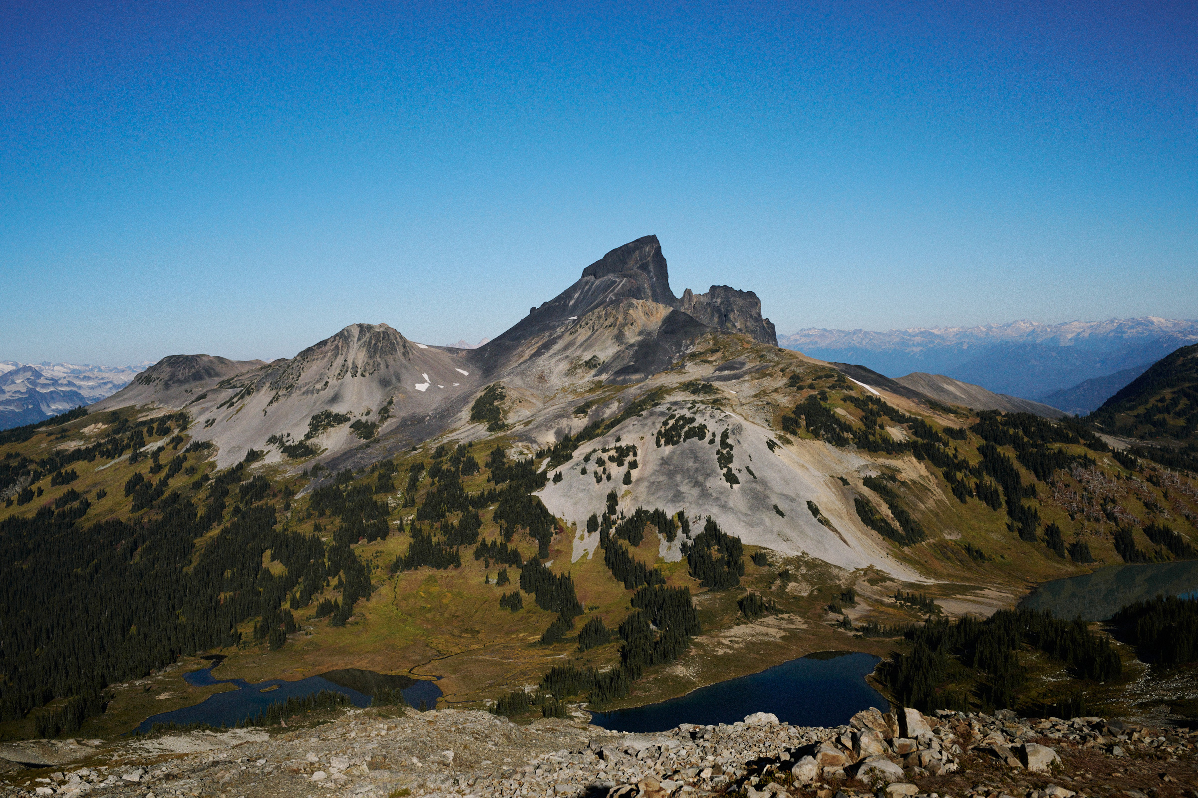 Off Roads GOCap | Tracksmith