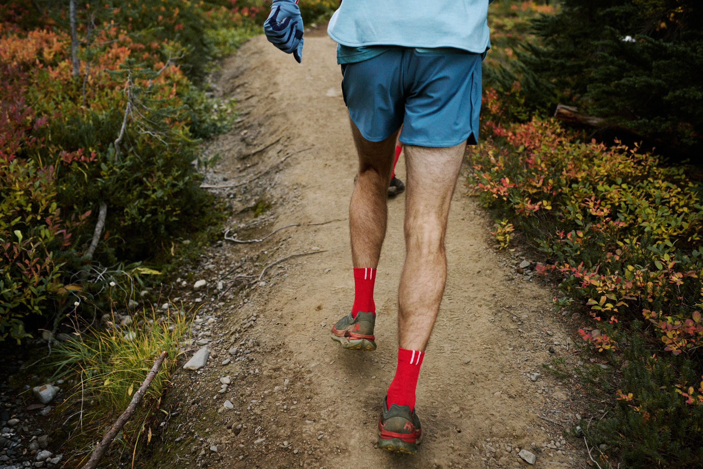 Speed Crew Sock | Tracksmith