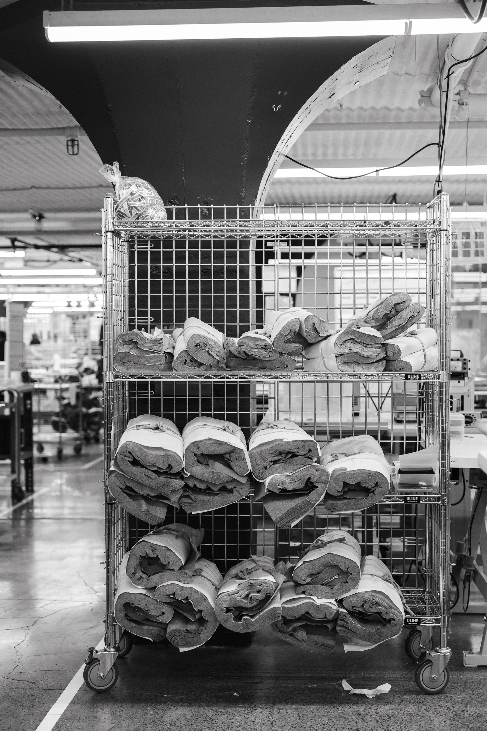 Cotton Tales: Stitching the Next Chapter of the Grayboy