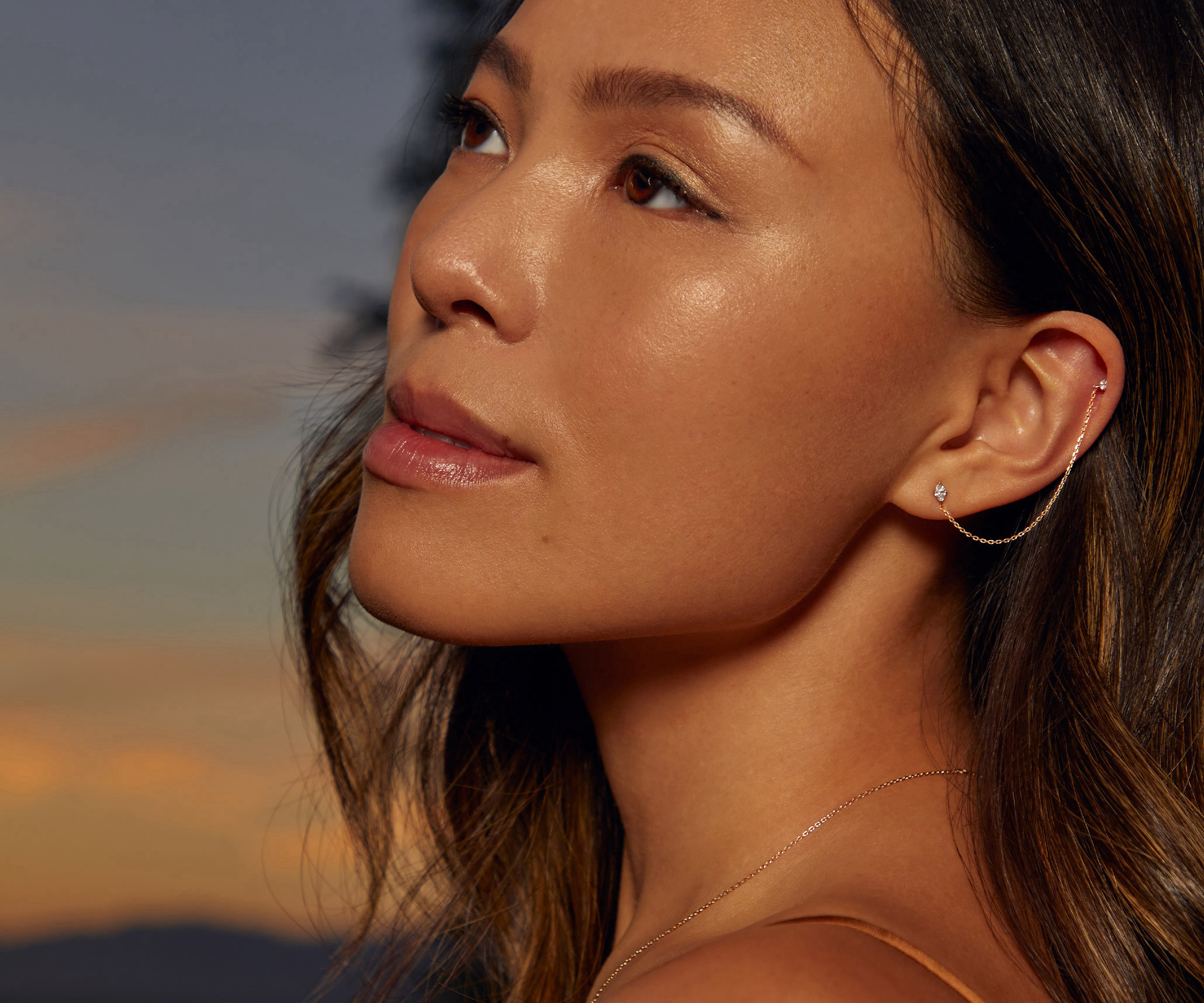 Constellation Collection