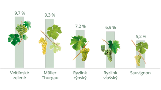 Rozdělení vín dle barvy vína | Vína z Moravy a vína z Čech
