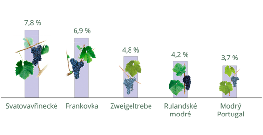 Rozdělení vín dle barvy vína | Vína z Moravy a vína z Čech