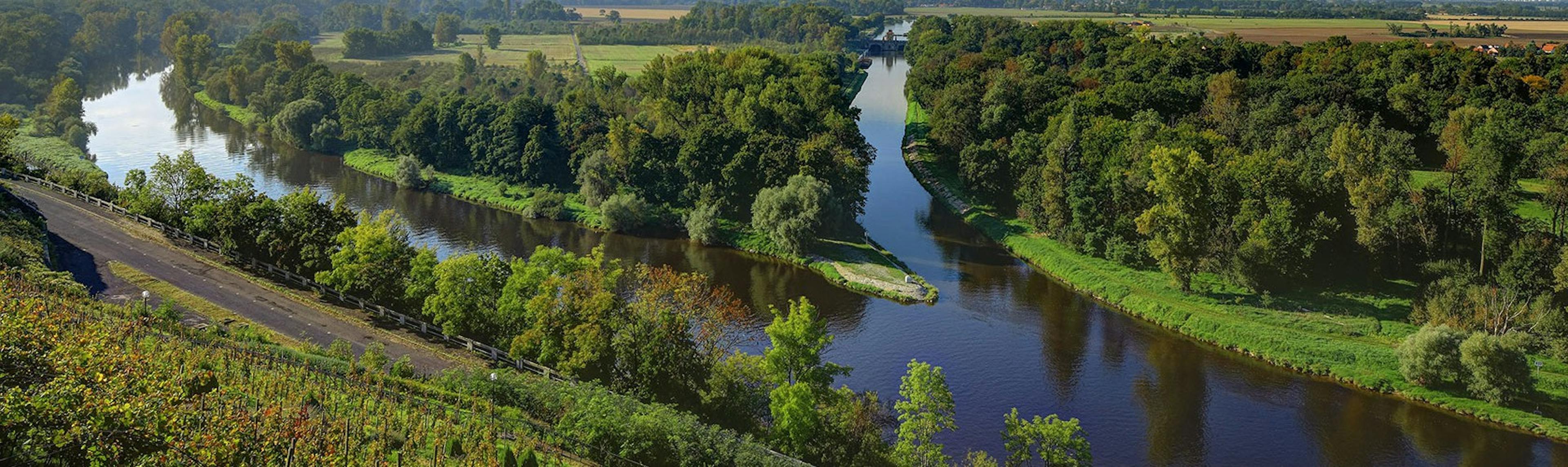 Wine trails in Bohemia | Wines from Czech Republic