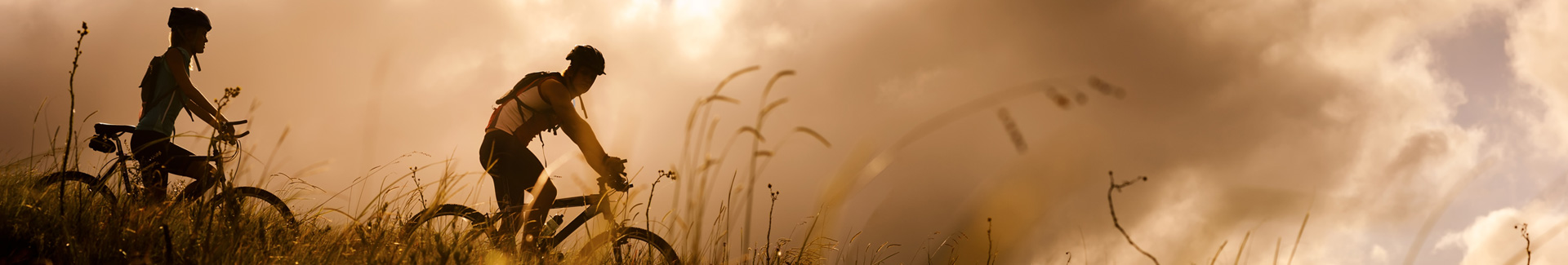 Wine trails | Wines from Czech Republic