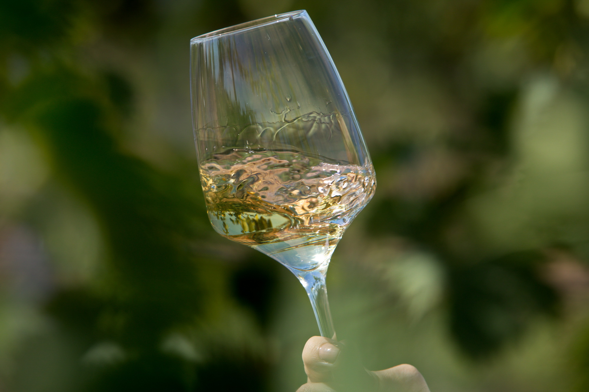 The mineral essence of wines | Wines from Czech Republic