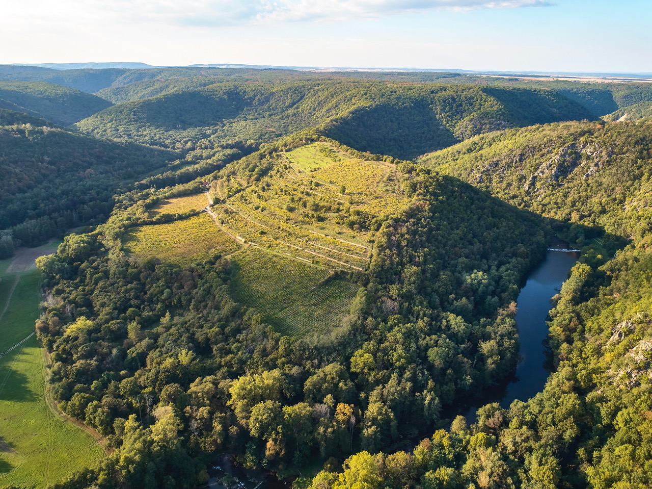 7 tipů kam za vínem ve Znojmě a okolí | Vína z Moravy a vína z Čech
