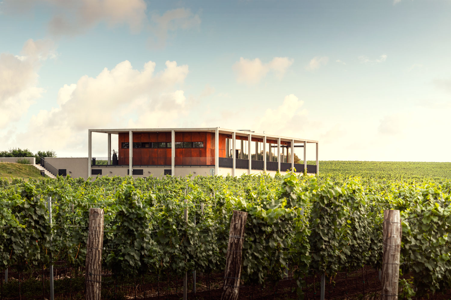 Obelisk Winery | Wines from Czech Republic