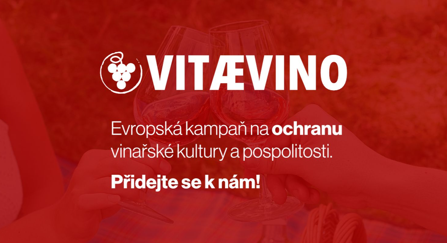 Chraňte vinařskou kulturu a pospolitost s kampaní VITÆVINO | Vína z Moravy a vína z Čech