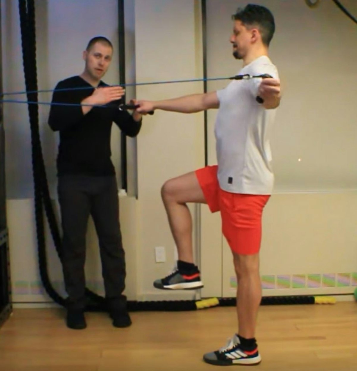 Course - Shoulder Press Strength Exercises and Progressions