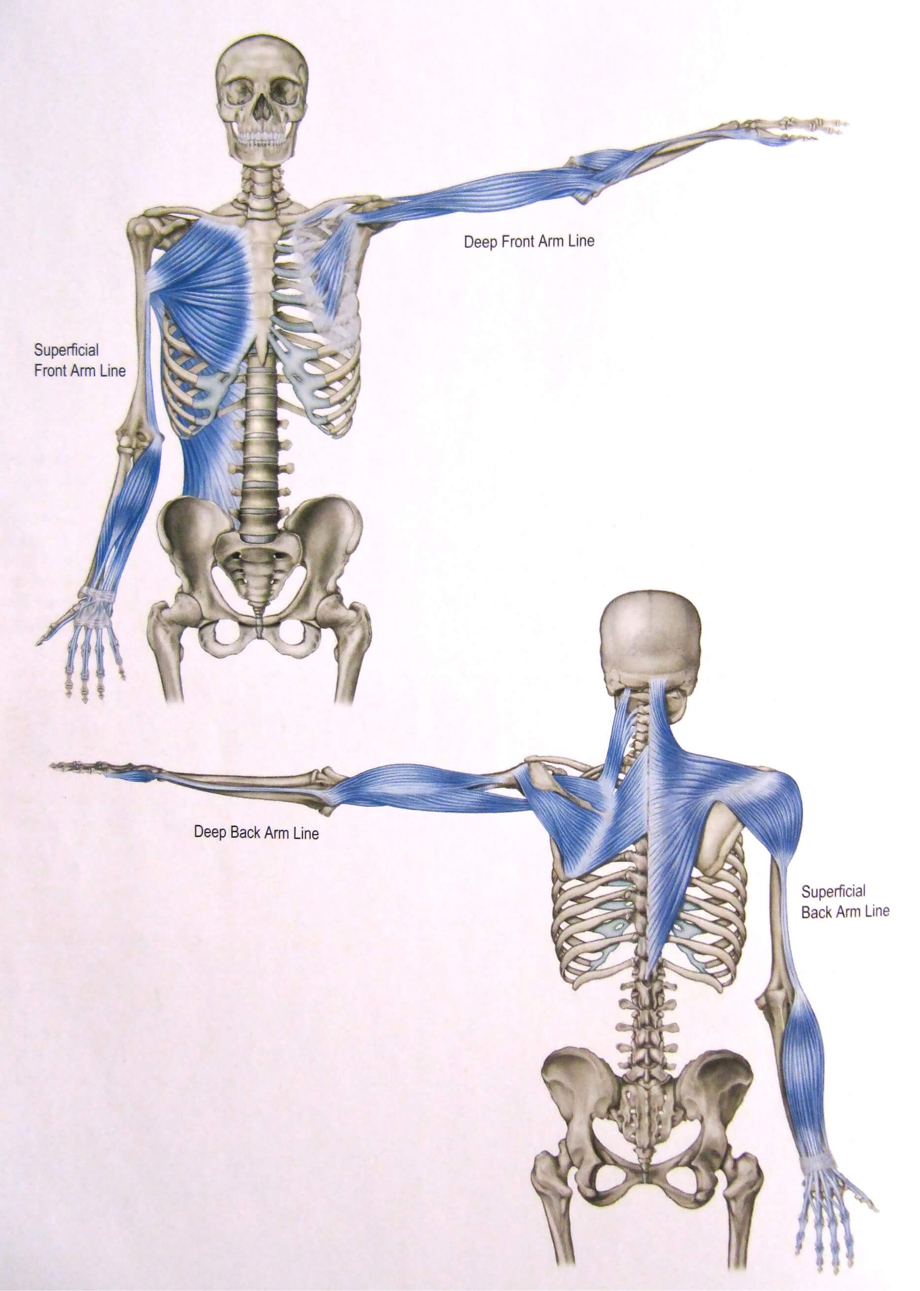 Subscapularis Strengthening
