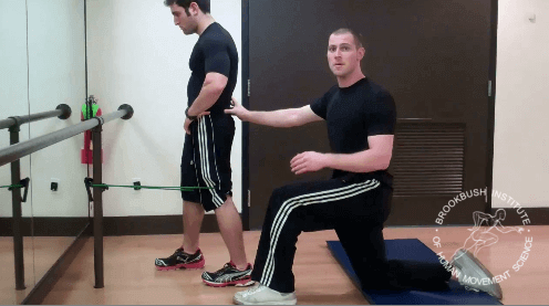 Vastus Medialis Exercises