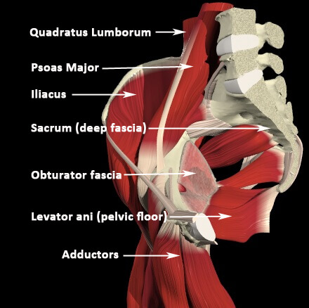 Intrinsic Core Stabilizers