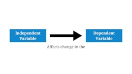 Independent Variable Brookbush Institute Glossary
