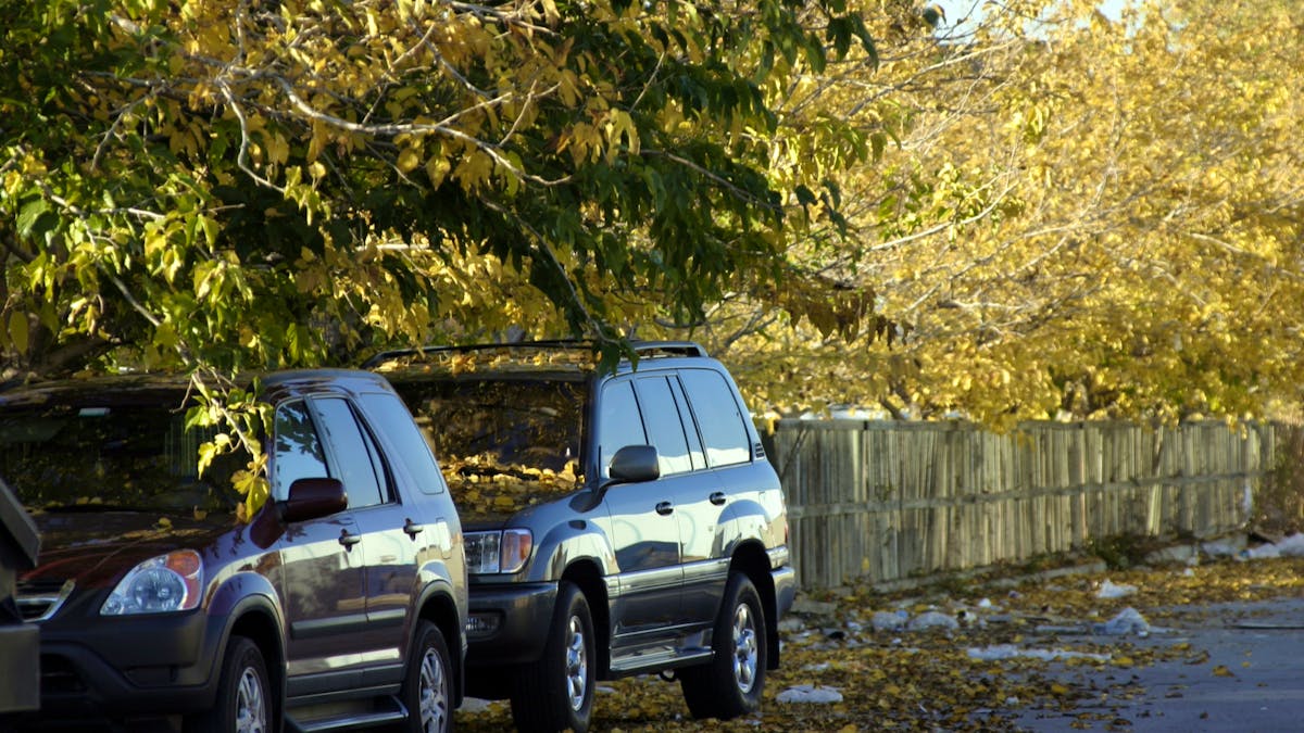 No Need To Break The Bank When Picking A Compression Gauge - Car Talk