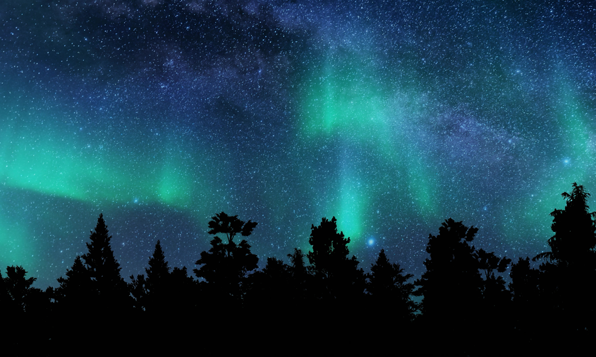Best Smartphones for Night Photography