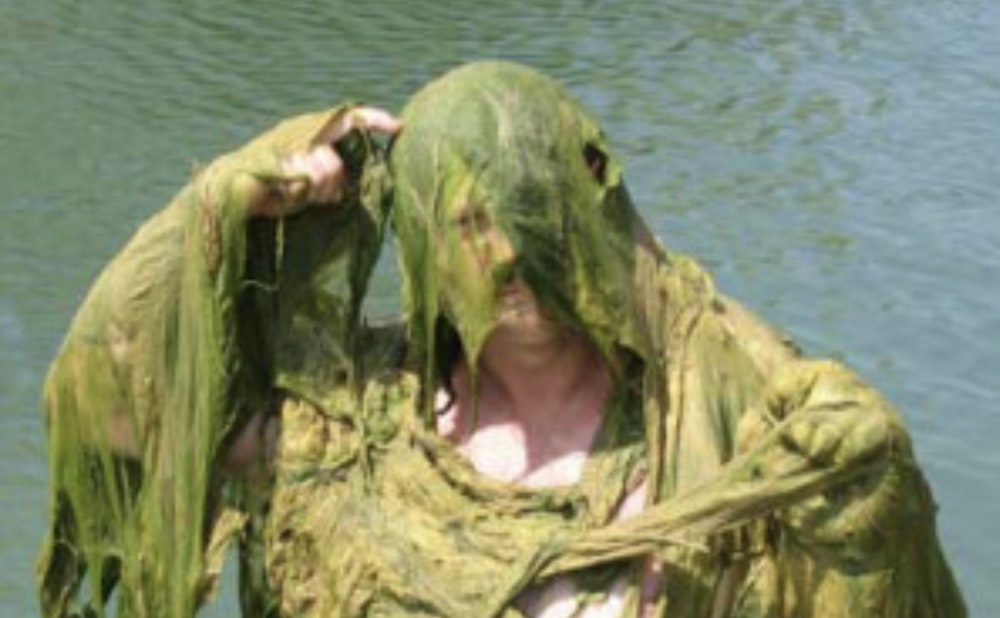 How To Stop Algae In Spa Pools | Spa World NZ