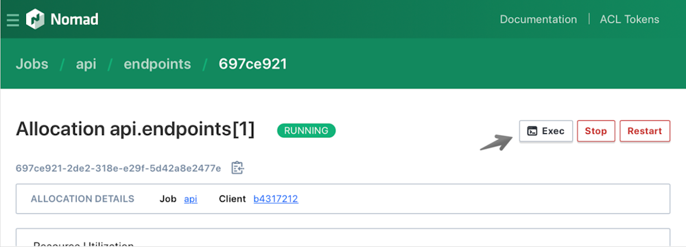 HashiCorp Nomad Remote Exec Web UI