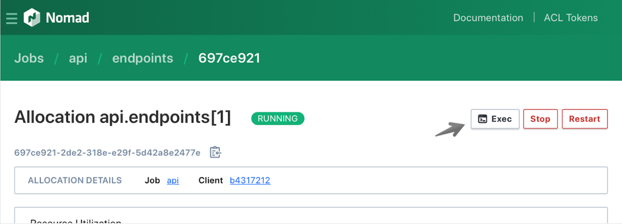 HashiCorp Nomad Remote Exec Web UI