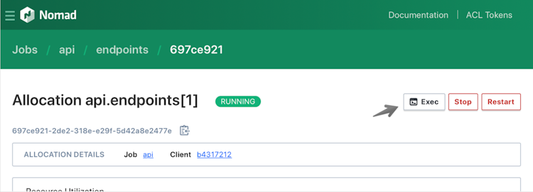 HashiCorp Nomad Remote Exec Web UI
