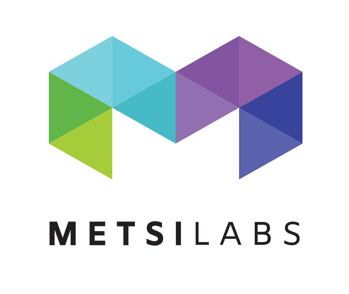 MetsiLabs, Inc. | HashiCorp Tech Partner