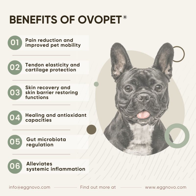 OVOPET®: natural pet care
